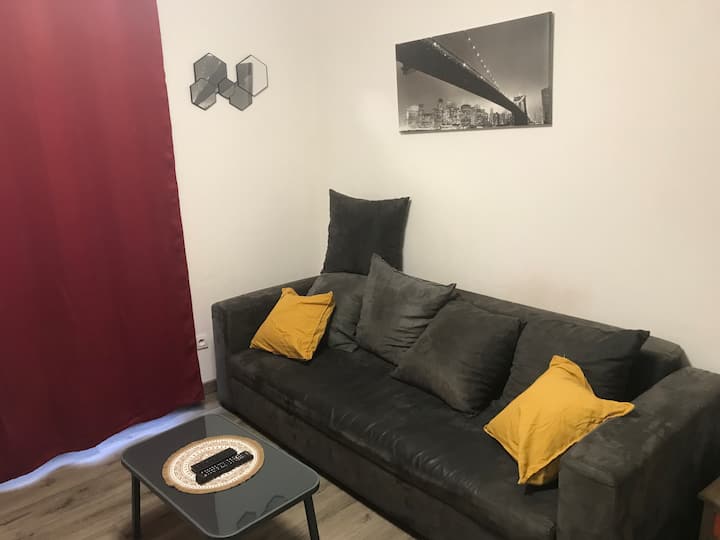 Appartement Centre-ville Strasbourg - Strasbourg