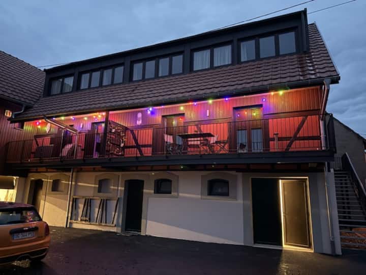 Double Appartement Spacieux Et Confortable - Marckolsheim