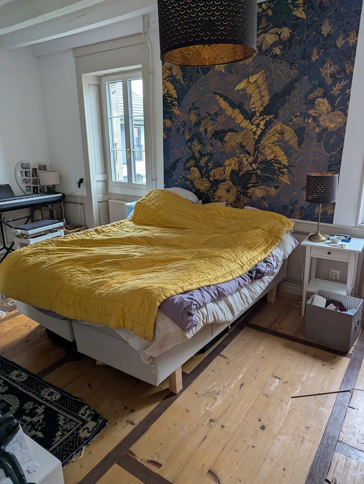 Chambres D'hôtes Charmantes Dans Très Jolie Maison - Nyon