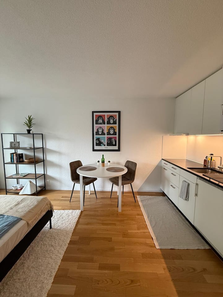 Zentrales & Modernes 1-zimmer-studio Im Zentrum - Bern