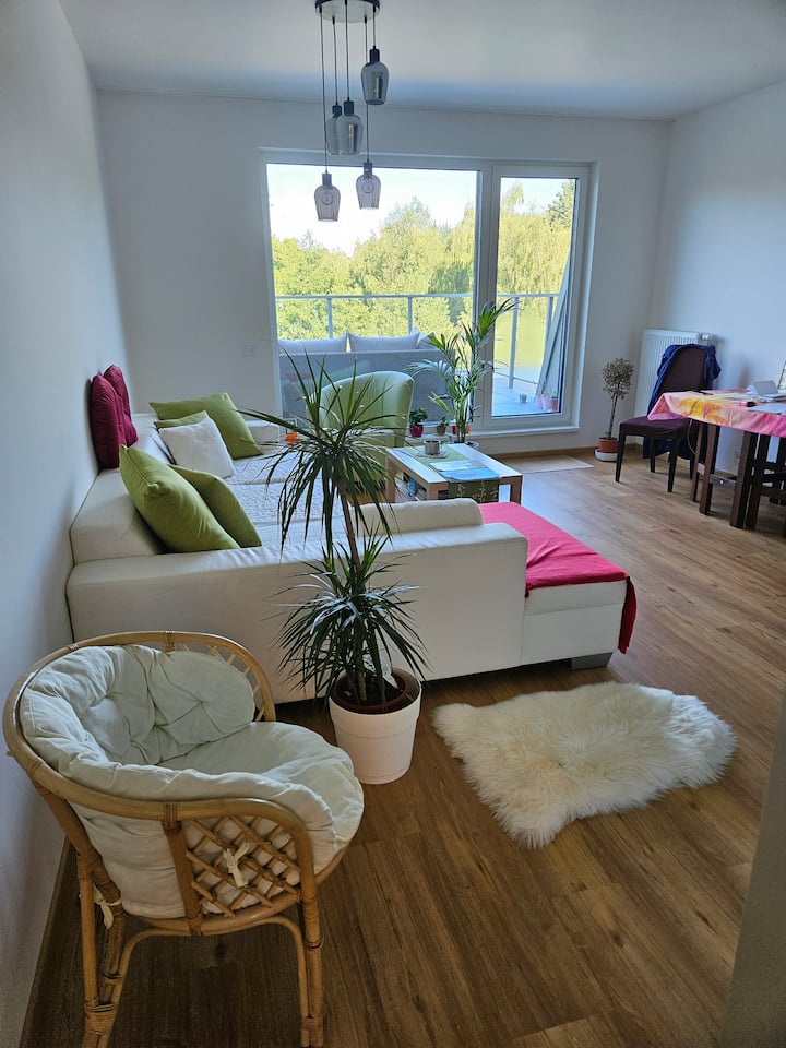 Charmant Appartement En Attique Avec Terrasse - České Budějovice