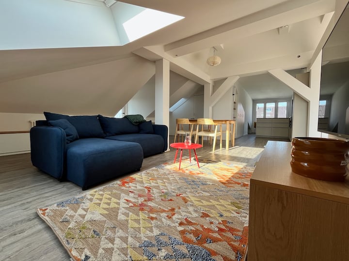 Sonnige Dachterrassen-wohnung In Maxvorstadt - München