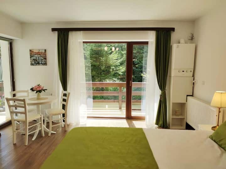 Greenstudiovic Predeal - Predeal