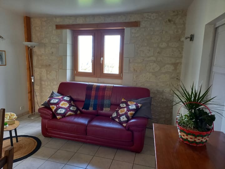 Gîte Des Rosettes - Chinon