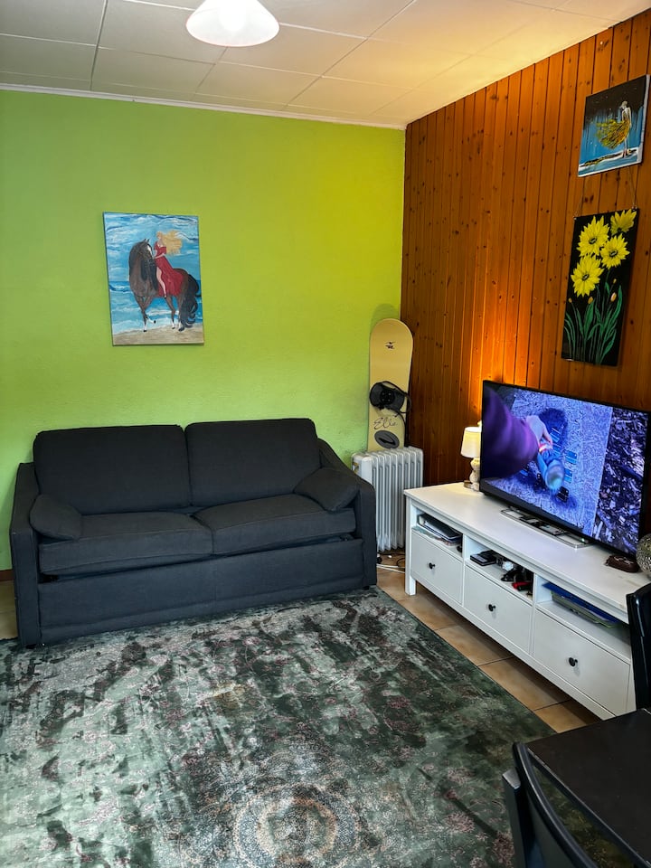 Privet Stodio In Frunt Of River - Métabief