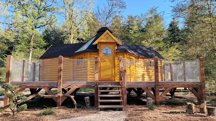Kota Finlandais "Balade En Forêt" - Saône-et-Loire