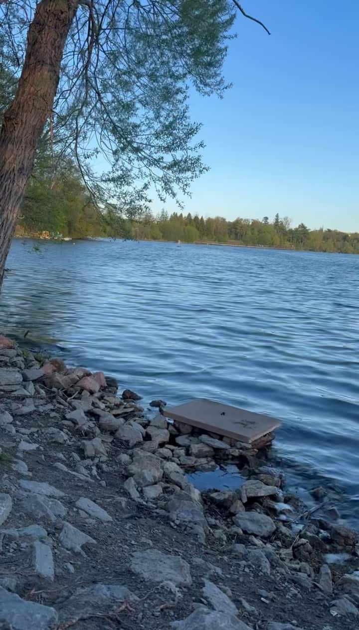 Brand Newentire2bed Basement-5min Walk Wilcox Lake - Aurora