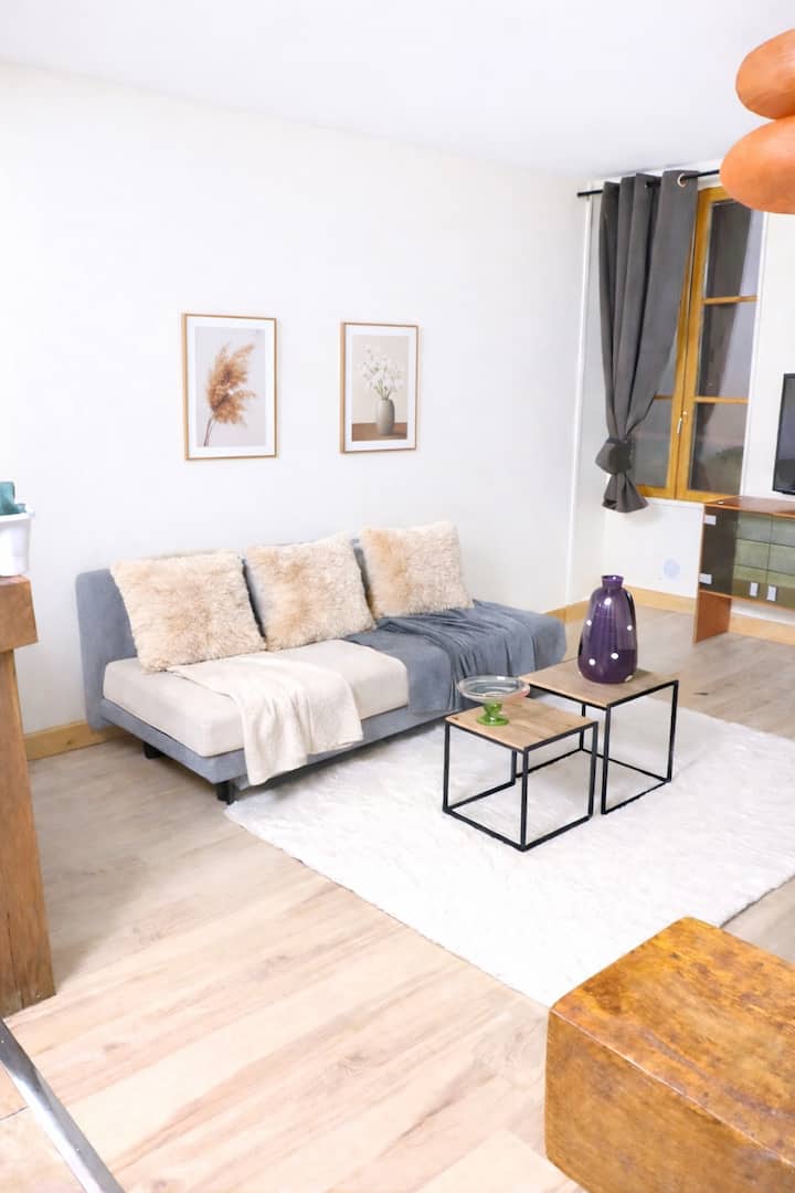 Appartement Spacieux Avec Parkings Privatifs - ibis Styles Vierzon
