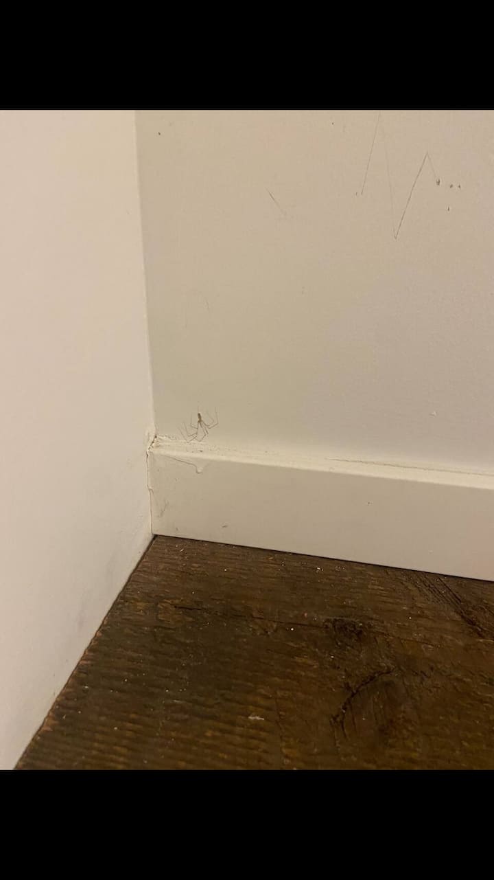 12-small Old Unit - Vancouver