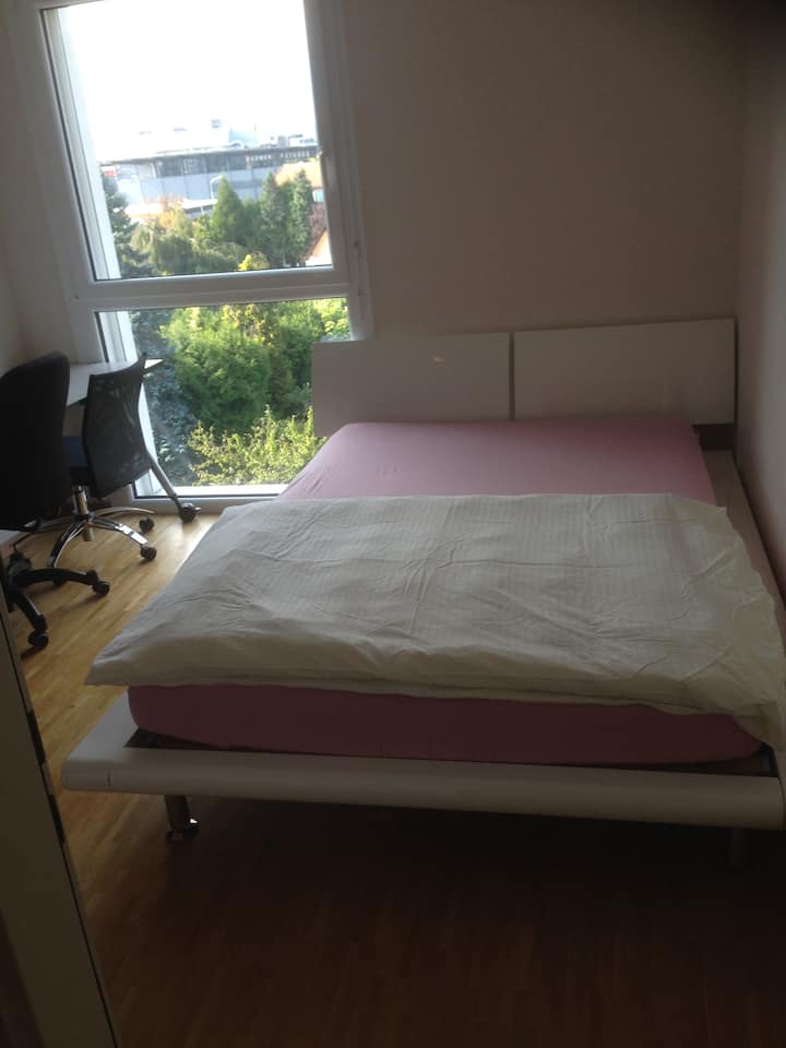 Room In My New Apartment In Bouchet - Geneva