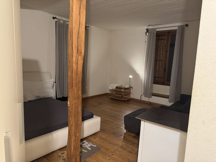Room Nr 2 In Charmilles 2 Minutes From Shopping - Geneva