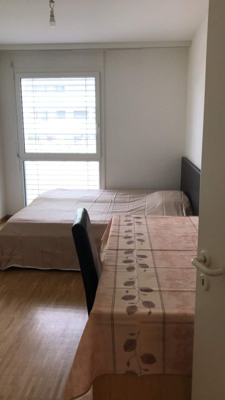 Room In My New Apartment In Lancy - Genève