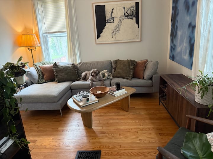 Small Apartment In East Rock, Ct - New Haven, CT