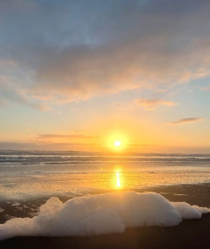 Minutes To The Beach: Castlecliff Retreat - Whanganui