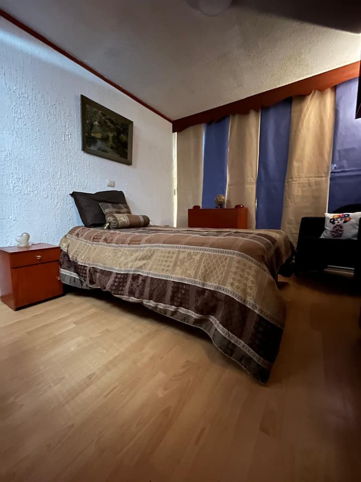 Caminando Al Foro Gnp / Palacio De Los Deportes 2 - Mexico