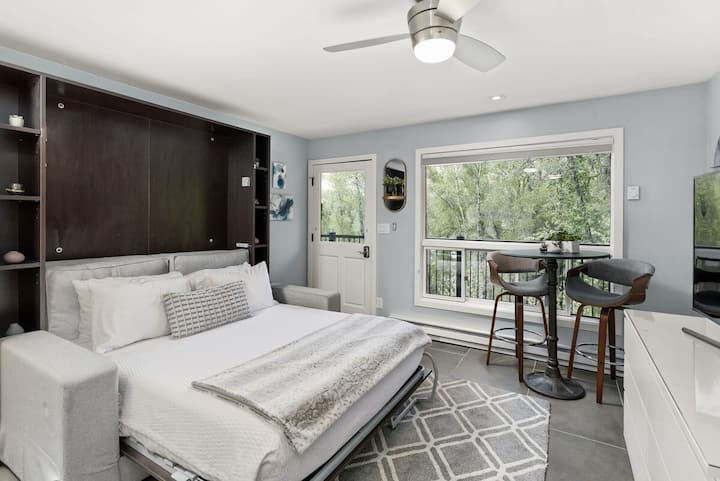Updated Aspen Core Studio On River! - Aspen, CO