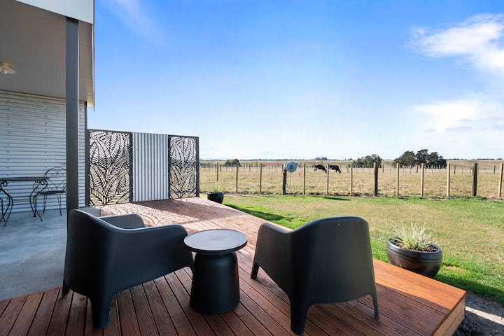 The Grazing Paddock - Bulls