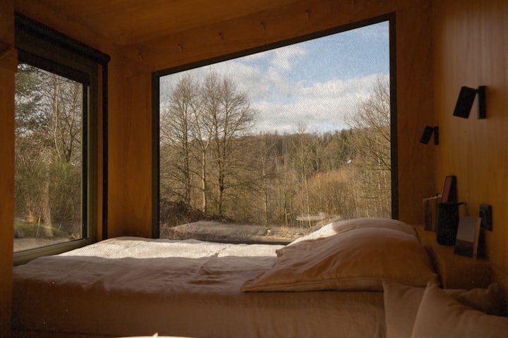 Waldrand - Wissen