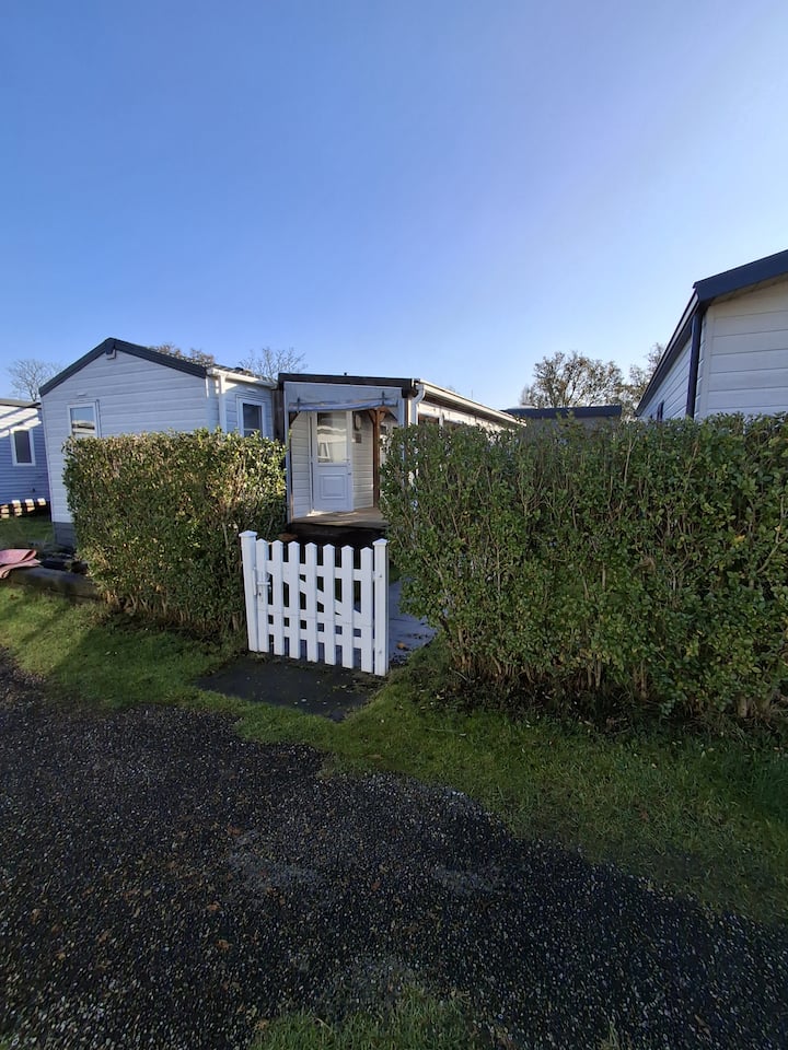 Beach Resort Kamperland - 1425 - Kamperland