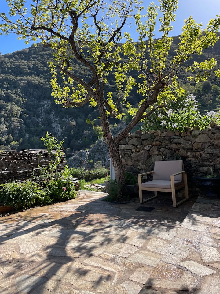 Maison De Village Et Jardins Authentiques - Asco