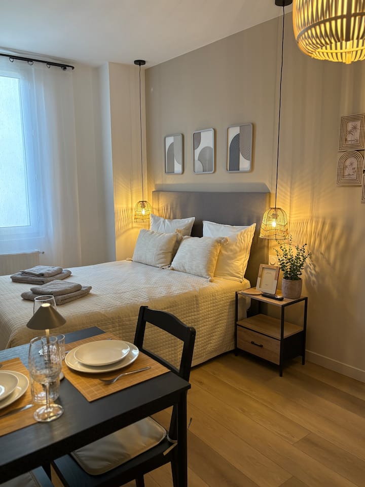 Chaleureux Studio Au Cœur De Limoges - Limoges