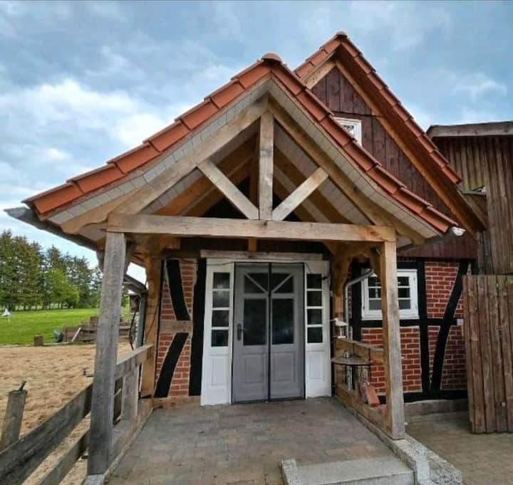 Idyllisch Wohnen Im Barrierearmen Appartement - Bad Fallingbostel