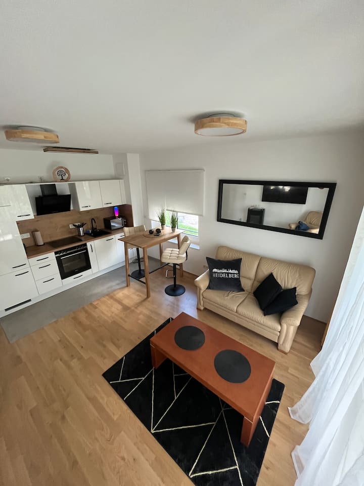 Living & Working In The Heart Of Heidelberg - Heidelberg