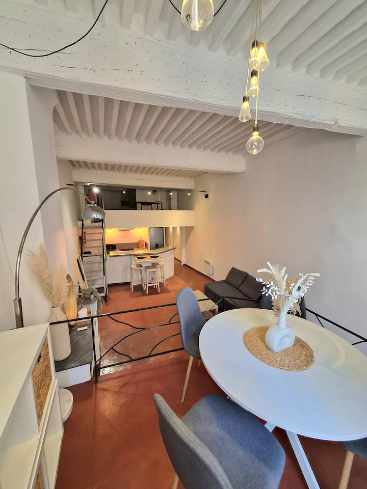 Atypique Loft, Terrasse Intérieur Et Mezzanine ! - Aix-en-Provence