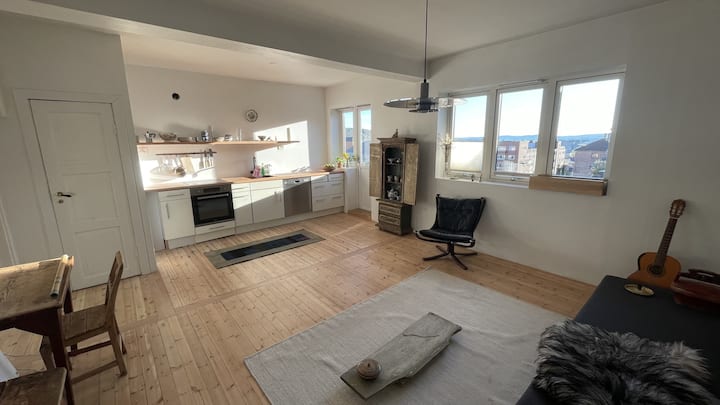 Zen Appartment - オスロ