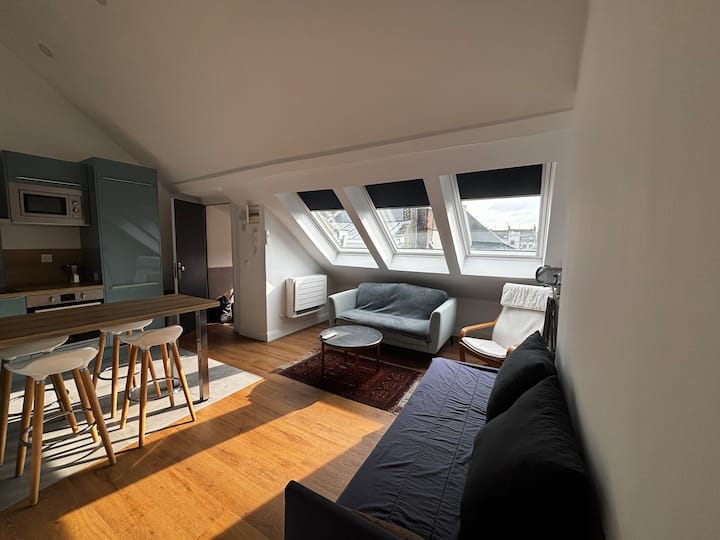 Sur Les Toits De Lille - Lille