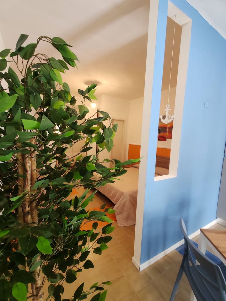 San Nicola Arcella House - San Nicola Arcella