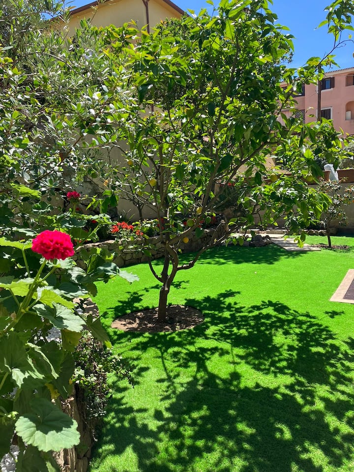 Appartamento Al Piano Terra Con Giardino Privato - Olbia