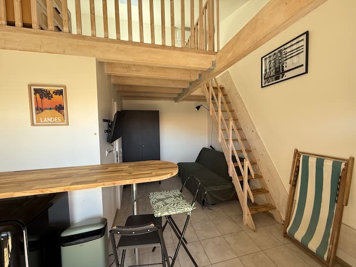 Appartement à 50 M De La Plage Et 300 M Du Centre - Biscarrosse