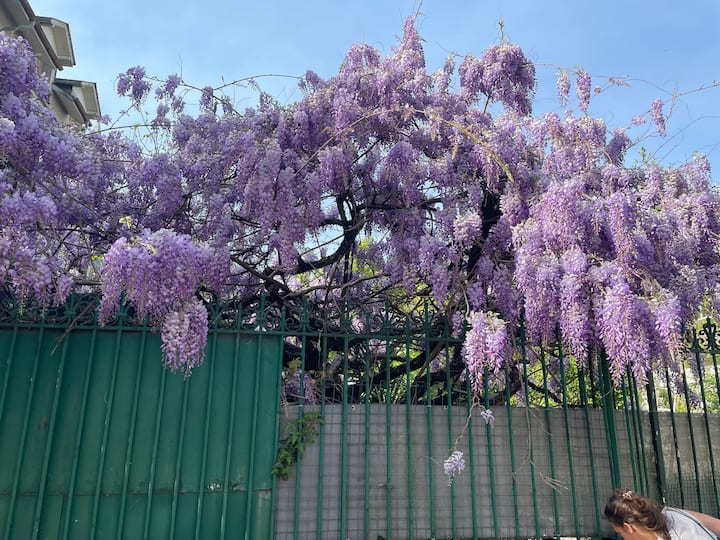 Un Petit Lieu Du Paradis, Simple, Authentique - Sospel