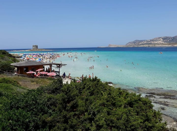 Votre Coin De Paradis Vous Attend ! - Stintino