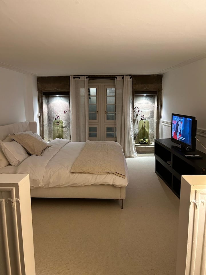 Charming Studio In The Heart Of Old Town - Carouge