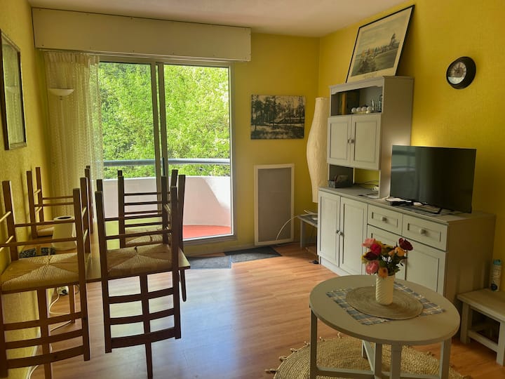 T2 Centre Ville D Arcachon - Arcachon