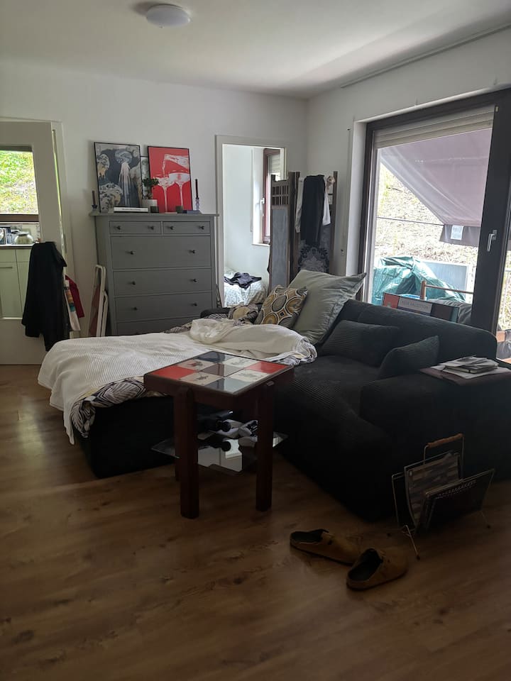 Charmante, Ruhige Wohnung Mit Blick Ins Grüne - Saarbrücken