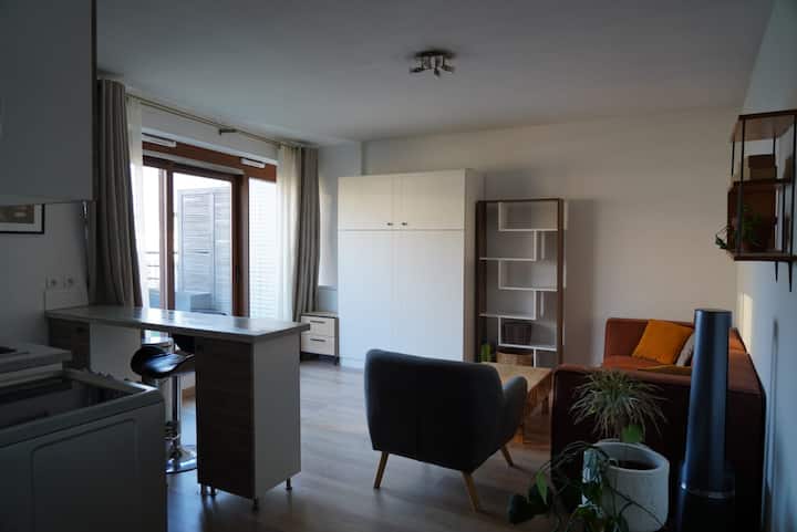 Appartement Avec Terrasse Au Centre De Boulogne - ibis Styles Paris Boulogne Marcel Sembat