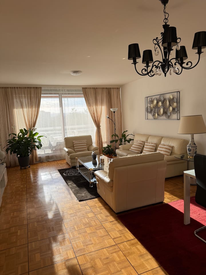 Appart 3 Ch, Salon Cuisine Parking 165m2 Pour 6p - Geneva