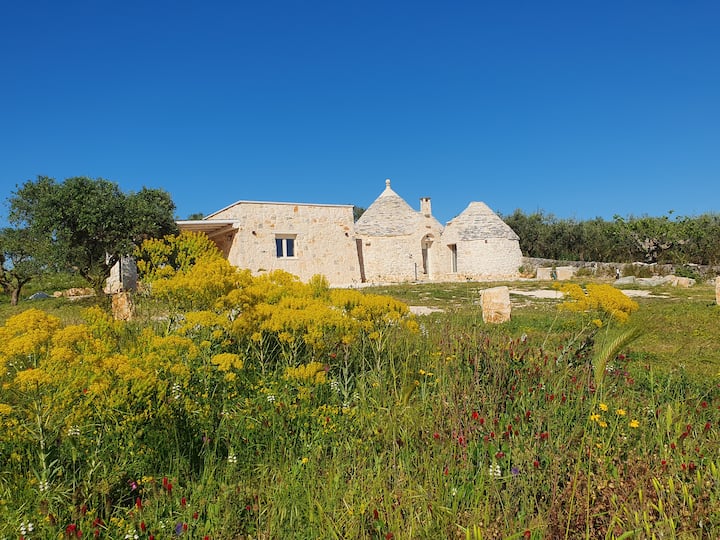 Trullo Chiaro Di Luna - Martina Franca