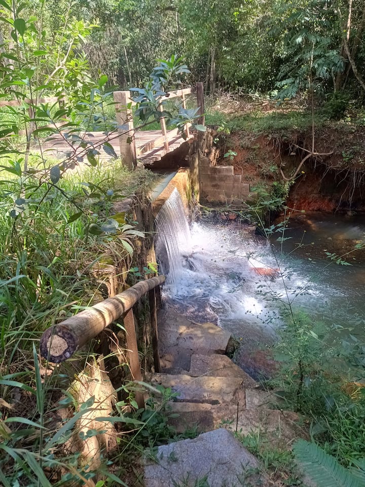 Coração Do Cerrado - Goiás (estado)
