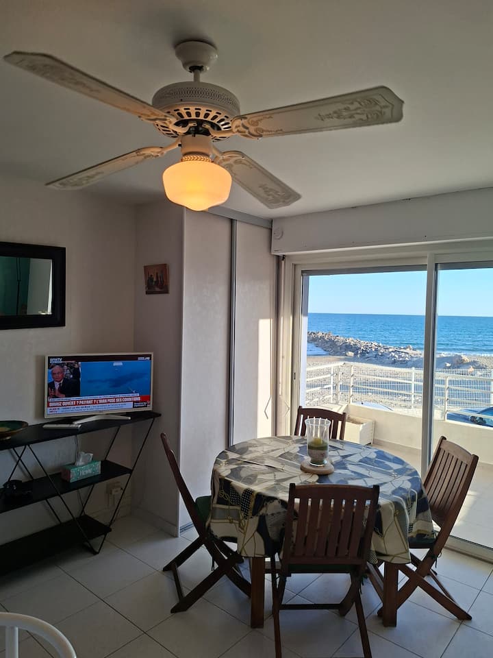 T 3 Front De Mer Avec Terrasse Et Accès Plage - Palavas-les-Flots