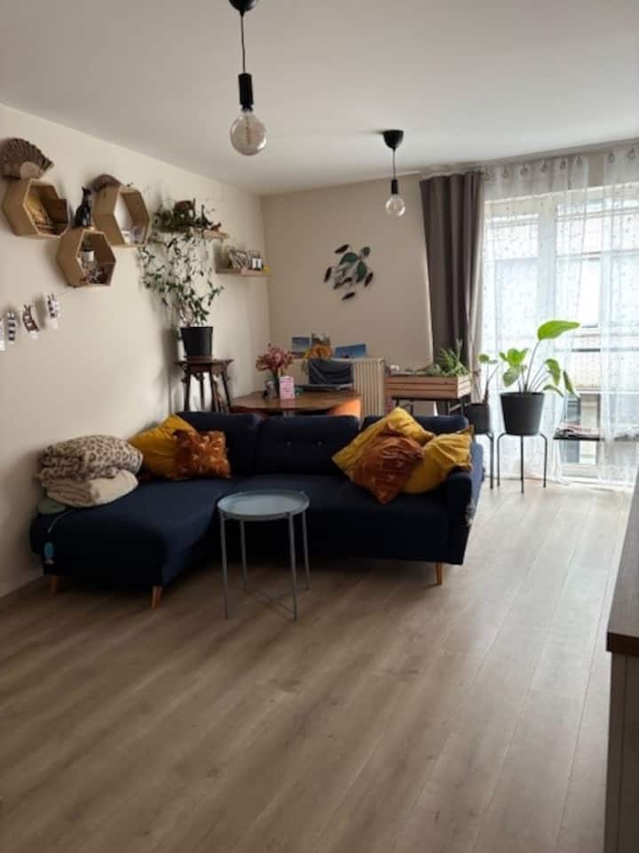 Gezellig Appartementje In Leuven - Louvain