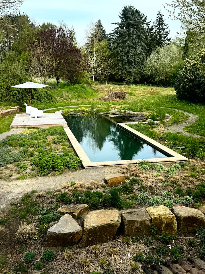 Design-villa Mit Pool - Düsseldorf