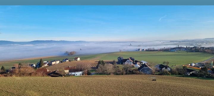 Charmant Studio Avec Vue Sur Le Lac - Yvonand