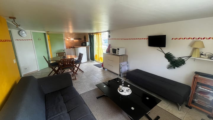 Appartement 2 Chambres 700m De La Plage - Biscarrosse
