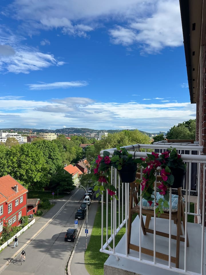 Koselig Toppleilighet I Oslo - Oslo