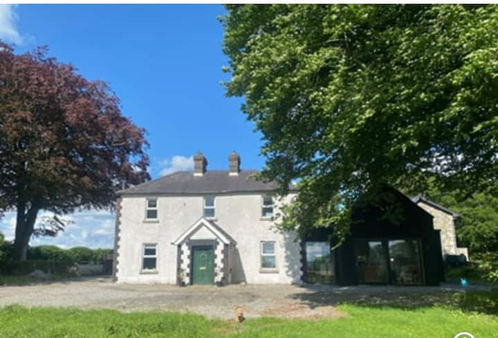 Perfect For Punchestown - Naas