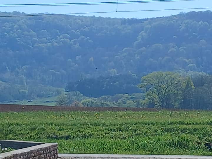 Maison Logement Entier : Le Verdoyant - Jura